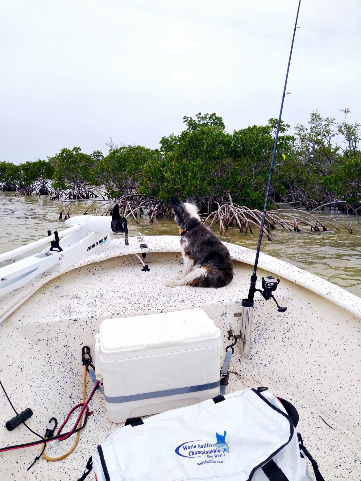 The best of Key Largo from a Florida native
