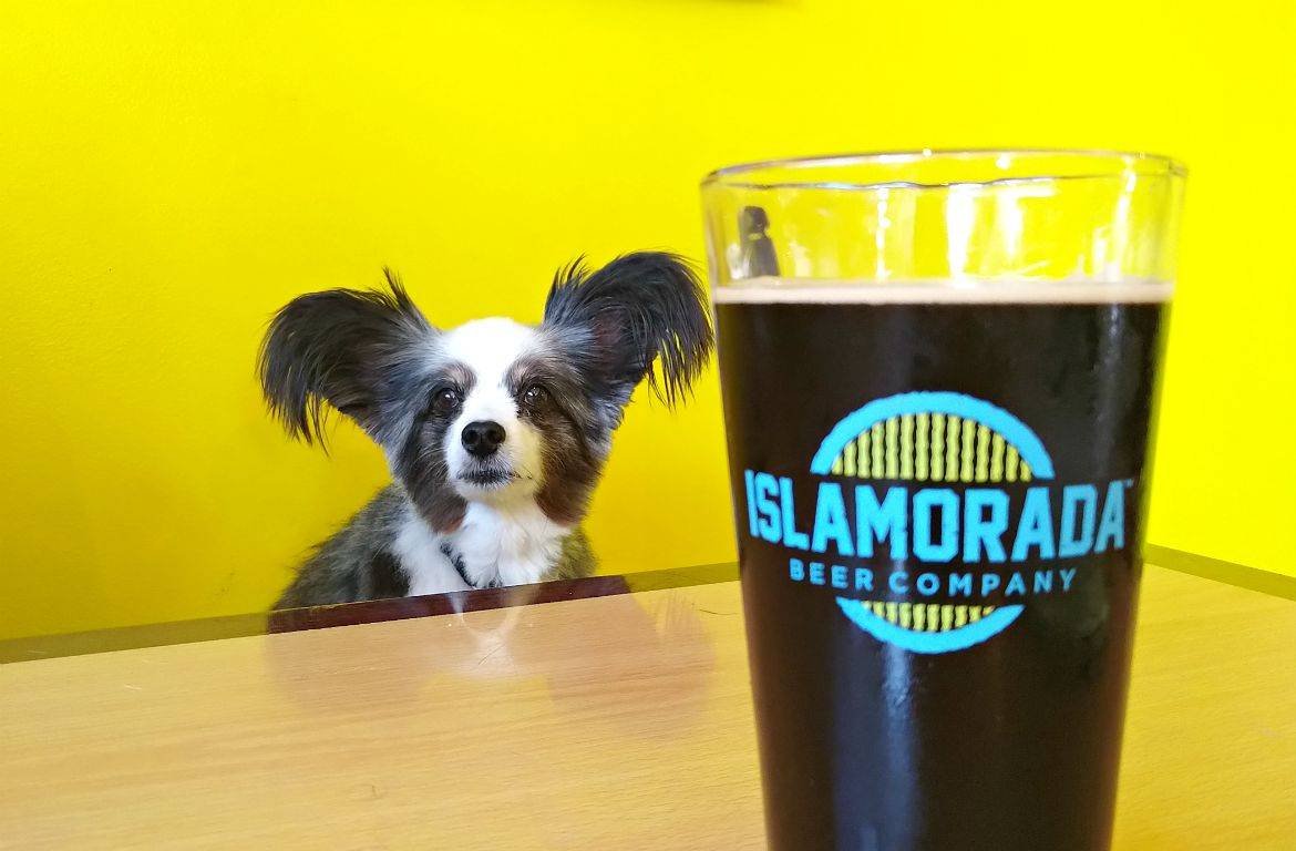 The best of Key Largo from a Florida native