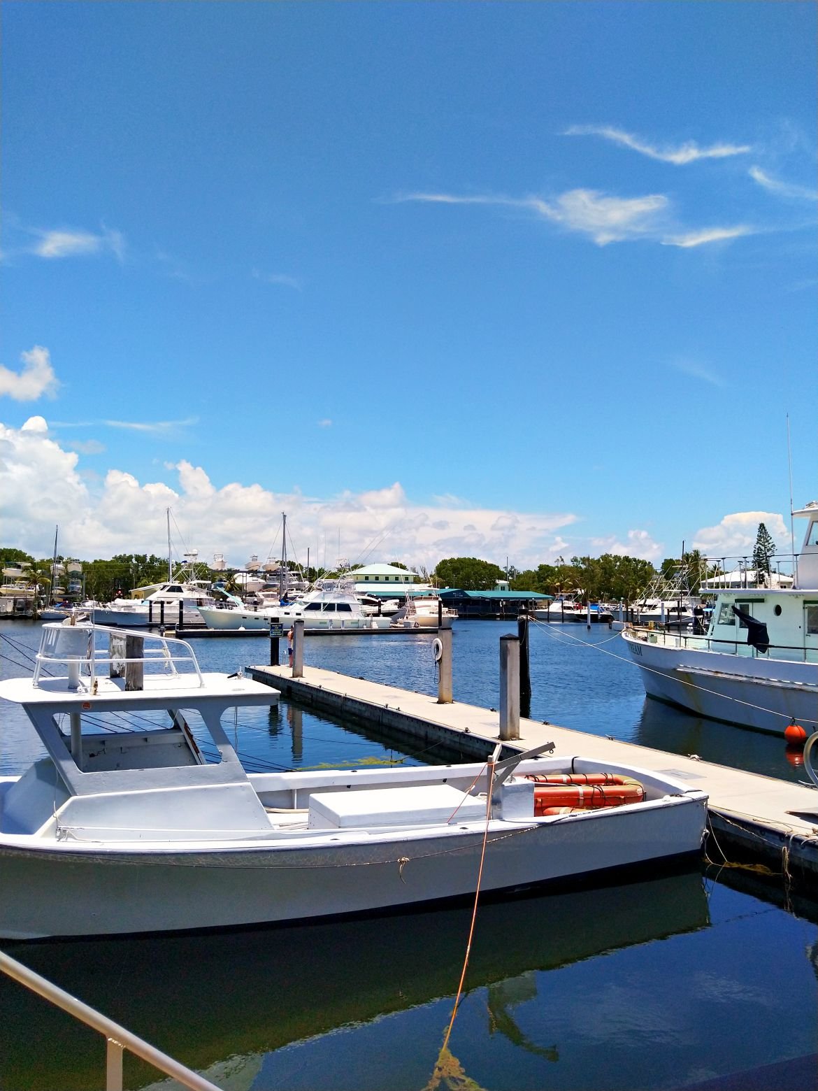 The best of Key Largo from a Florida native