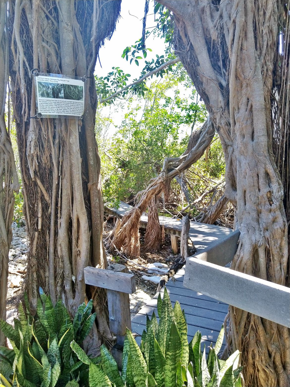 The best of Key Largo from a Florida native