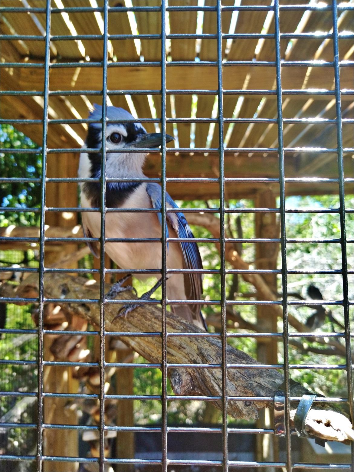 The best of Key Largo from a Florida native